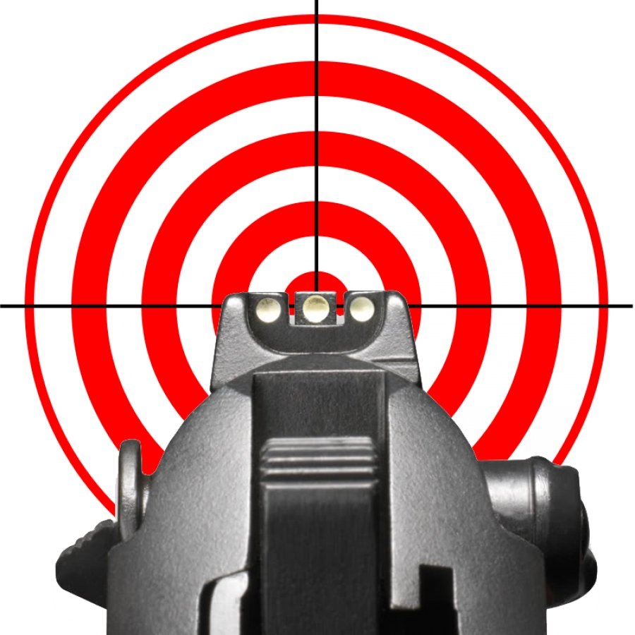 Sight Alignment Vs Sight Picture Shooting Strategies